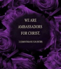 I am an ambassador. – Fearless Living