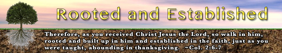 I am firmly rooted and built up in Christ. – Fearless Living